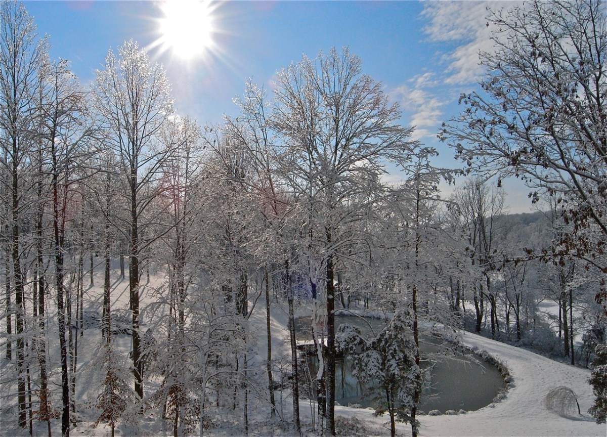 FOMO: scourge of the 21st century. | The Evolved Generalist